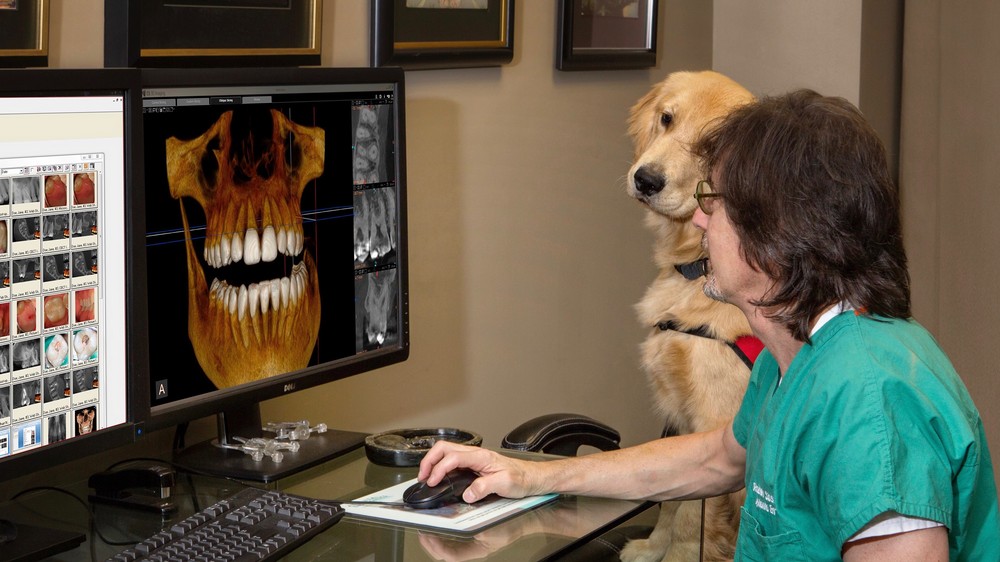 Atlanta Endodontics